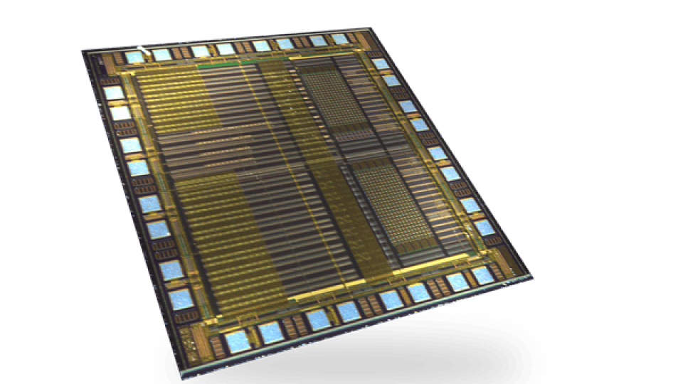 The smallest and most complex modules